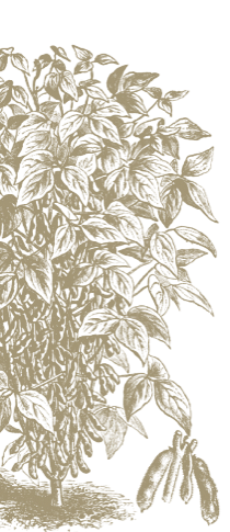 What We Do - Gates Ag One