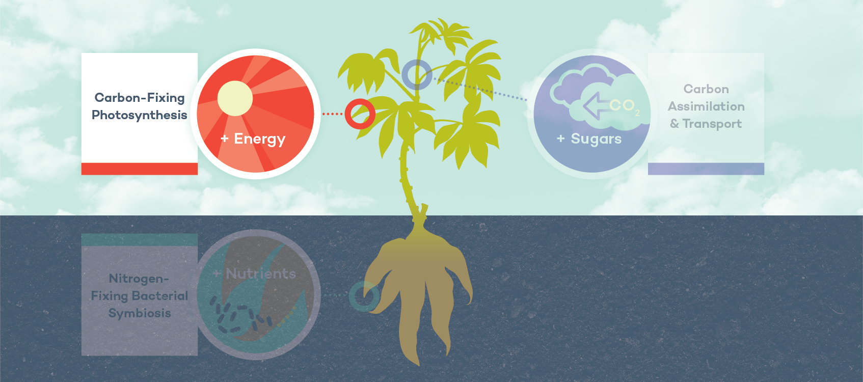 What We Do - Gates Ag One