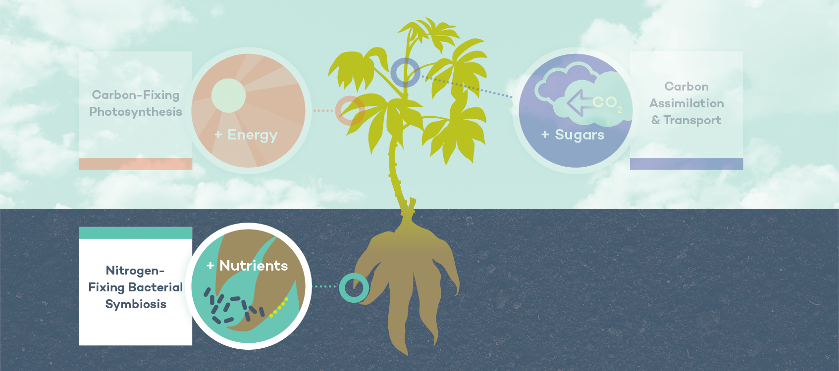 What We Do - Gates Ag One