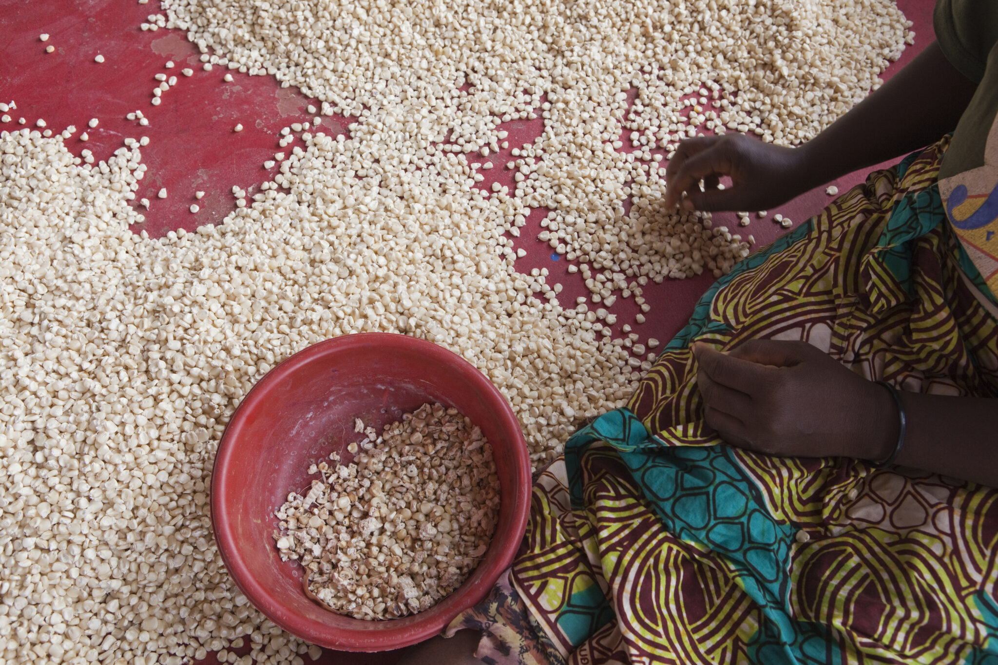 Maize - Gates Ag One