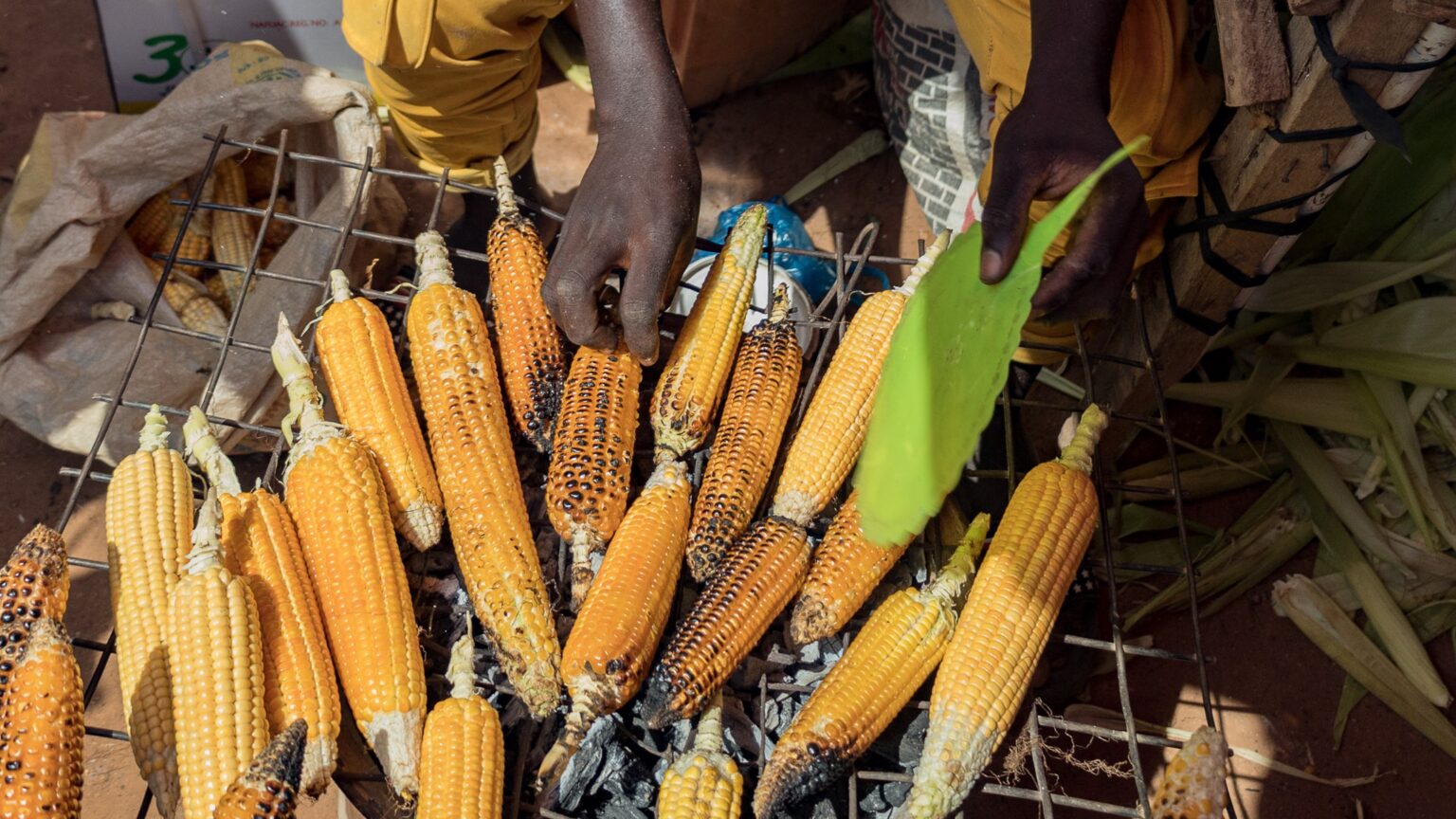 Maize - Gates Ag One