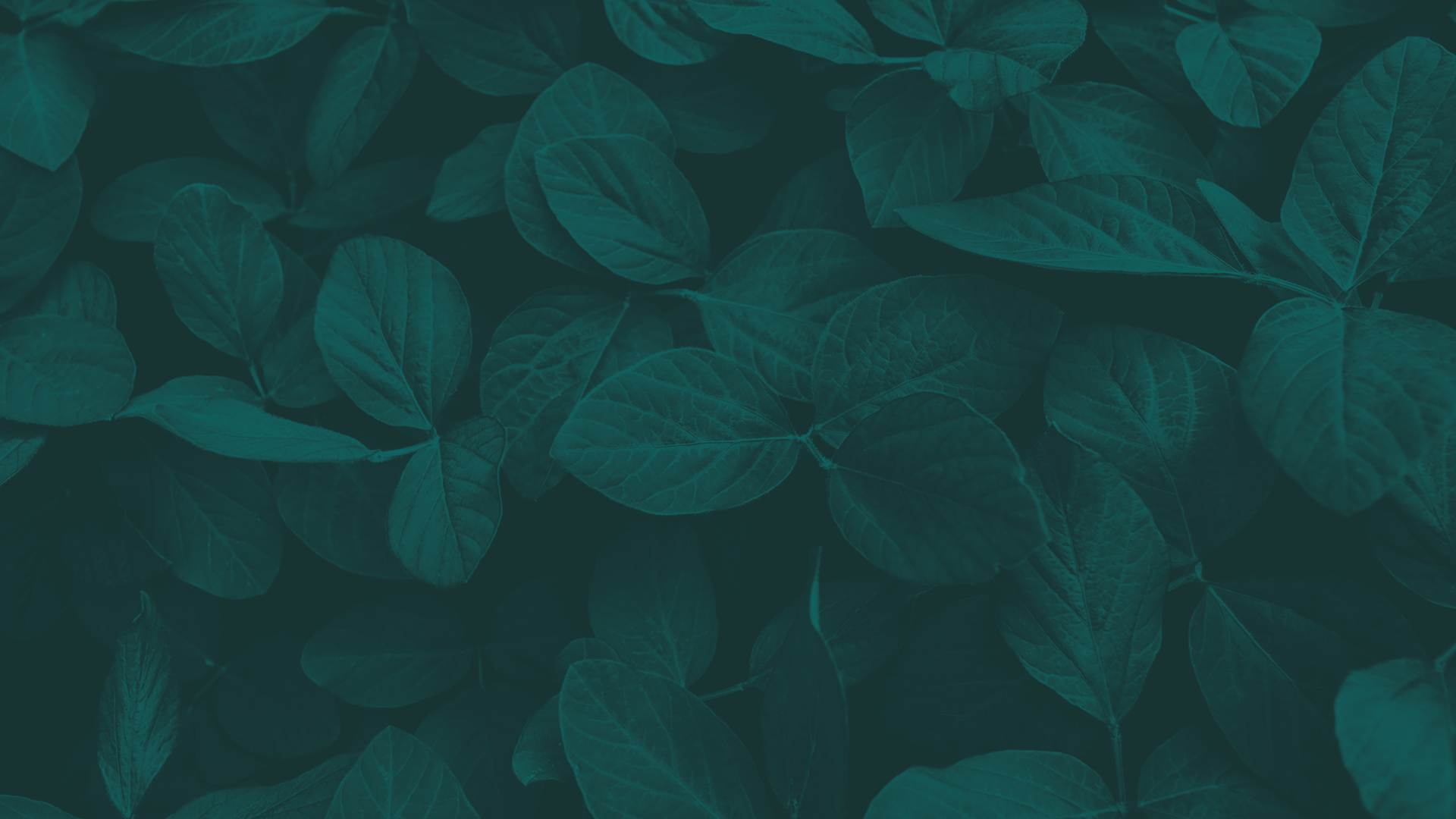 Our Leadership Team - Gates Ag One