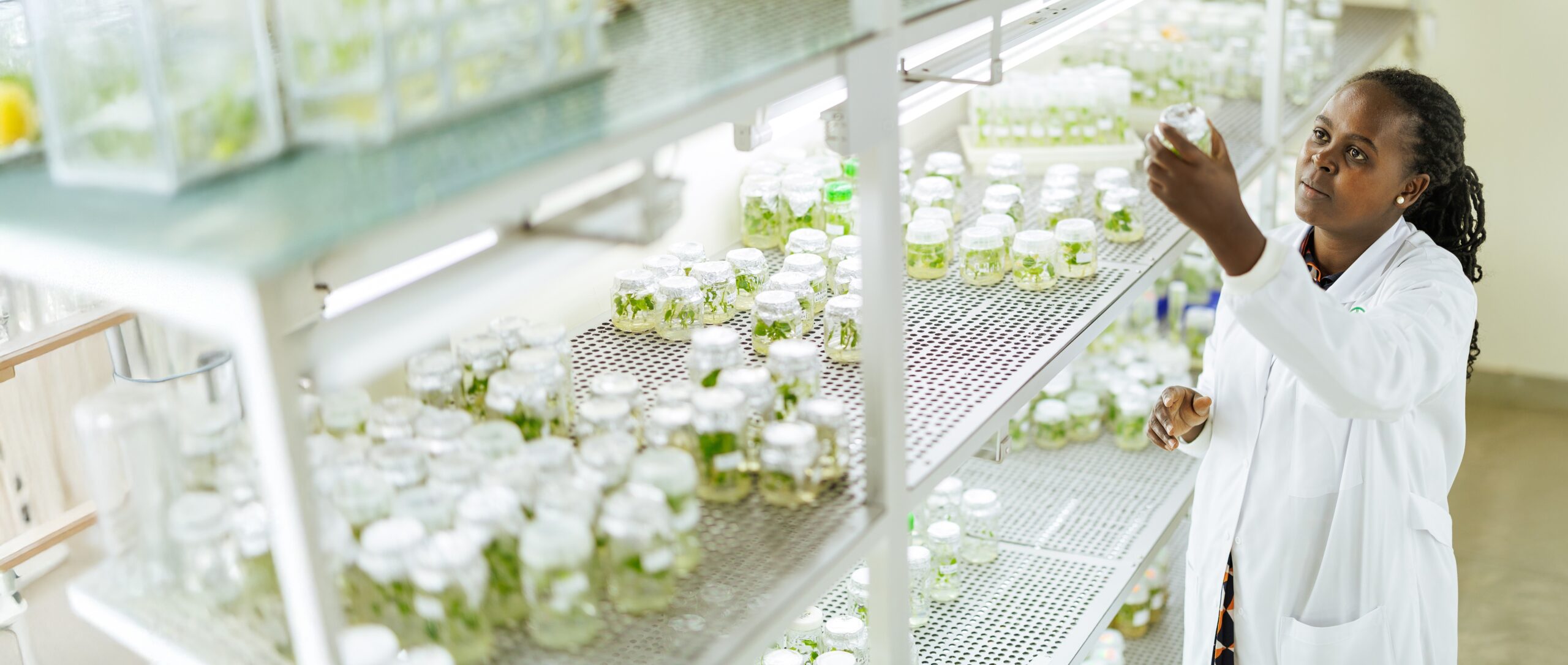 What We Do - Gates Ag One